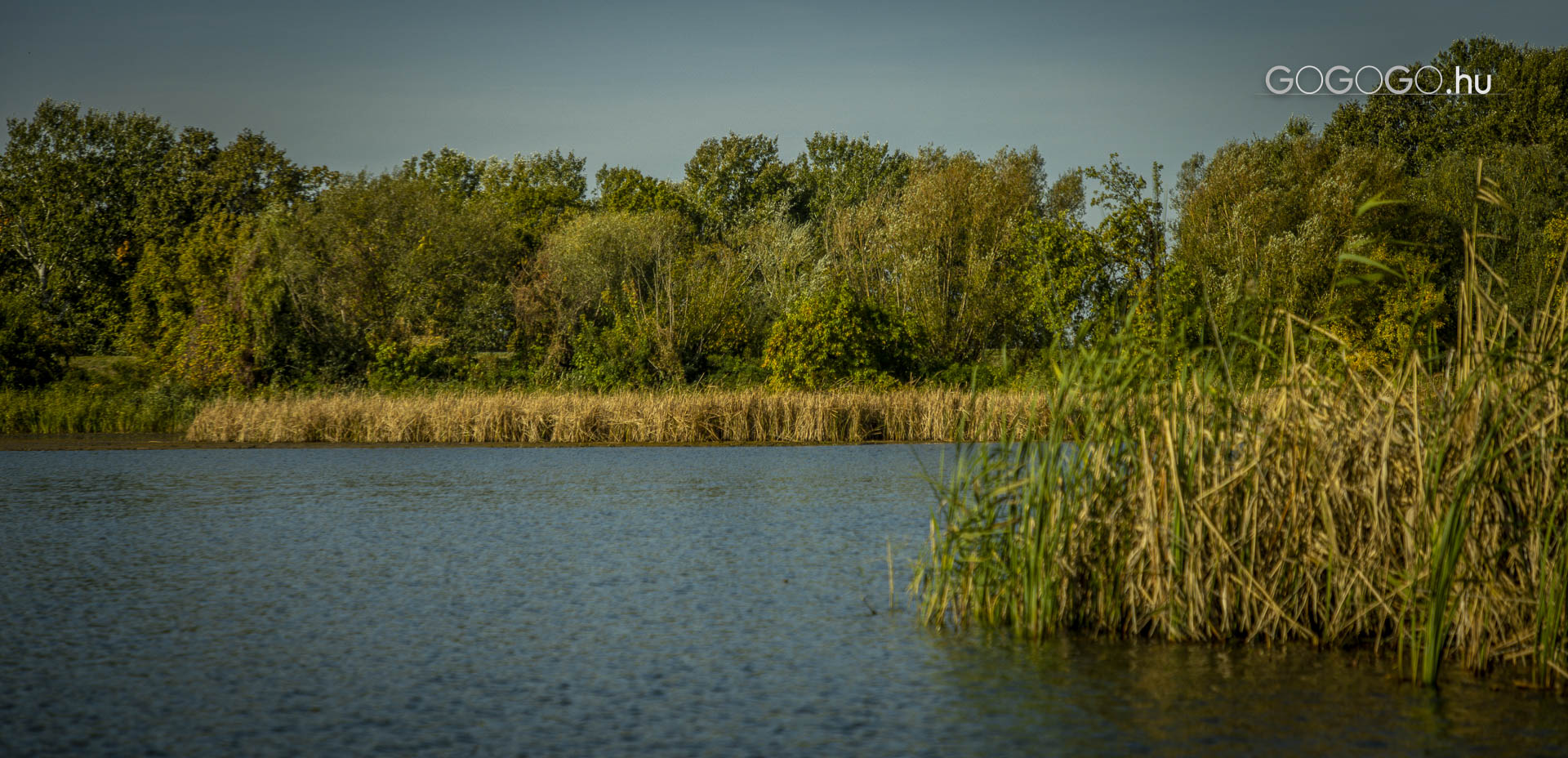 Bölömbika kilátó a sulyom mező közepén – Tisza-tó – GOGOGO.hu